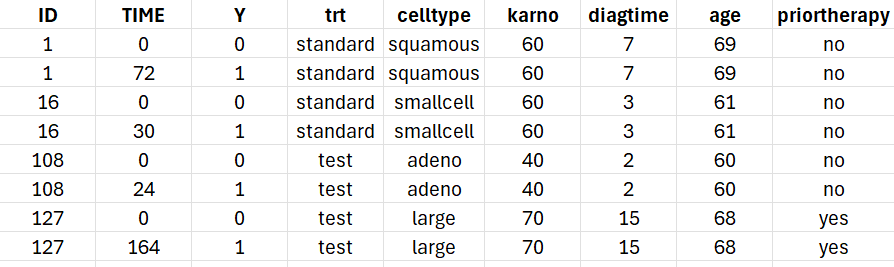 A simple TTE model for the Veterans’ Administration Lung Cancer study